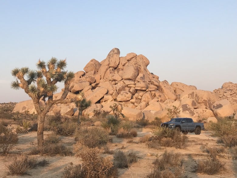 Sunset at Joshua Tree - WhereGalsWander