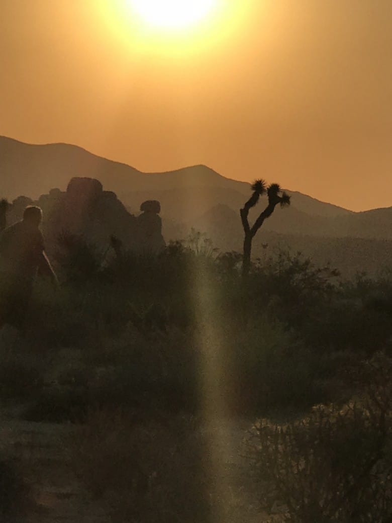 Sunset at Joshua Tree - WhereGalsWander