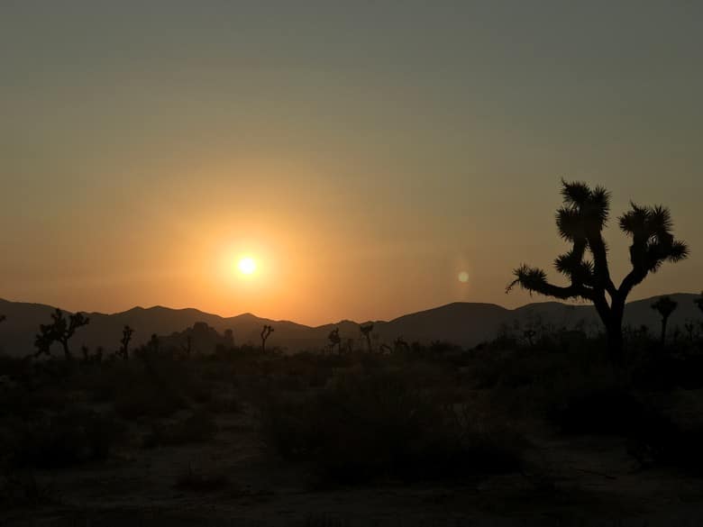 Sunset at Joshua Tree - WhereGalsWander