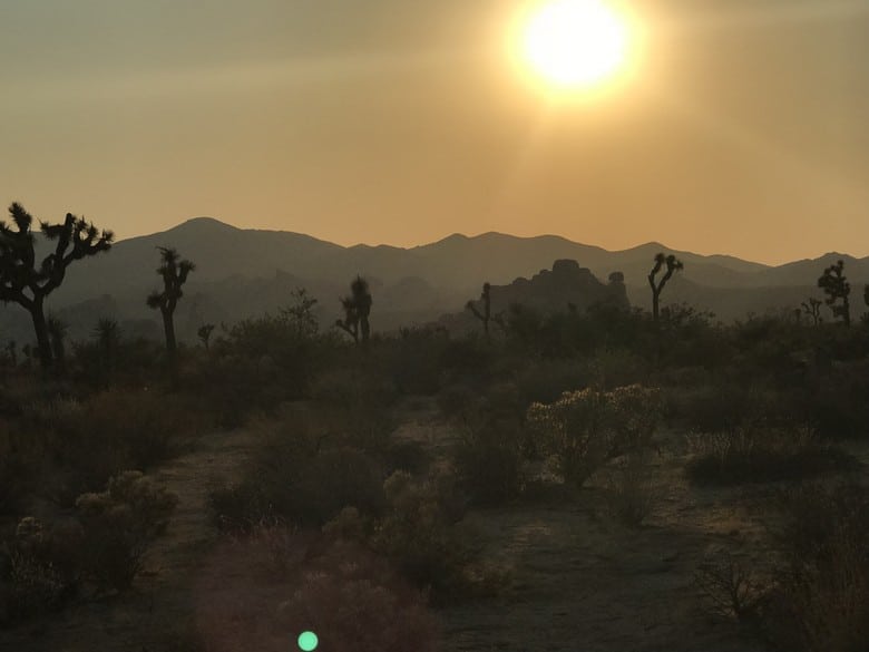 Sunset at Joshua Tree - WhereGalsWander