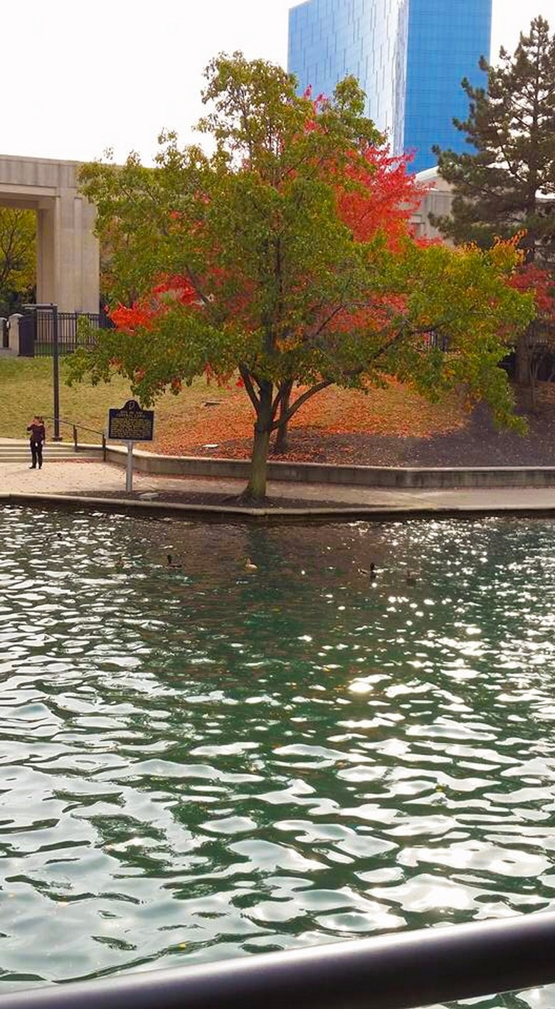 Incredible fall colors in Indianapolis - WhereGalsWander