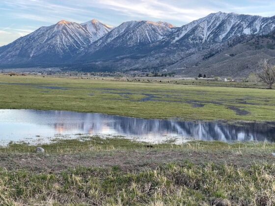 Where To Go in Carson Valley - WhereGalsWander